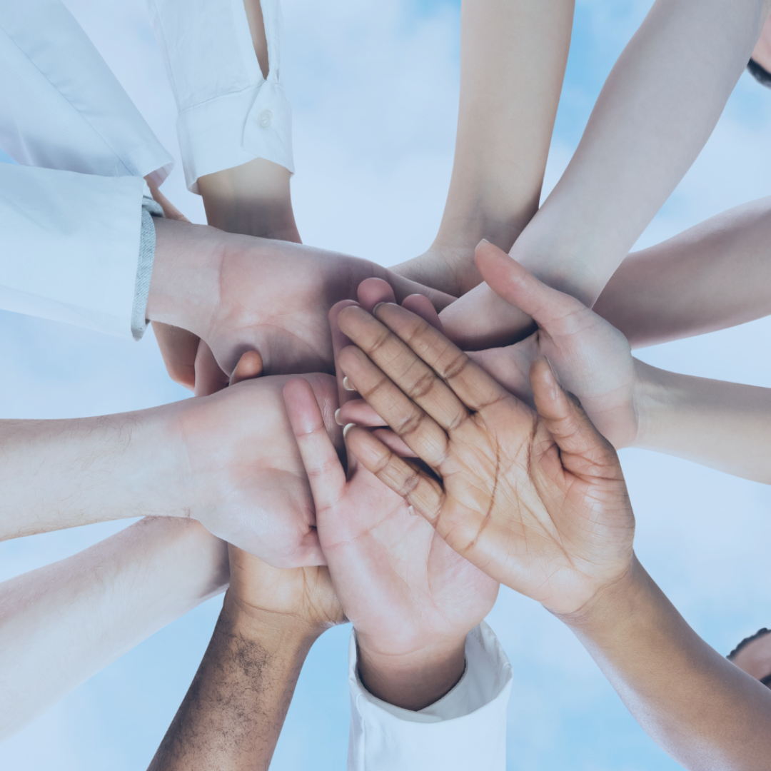 Wawibox Wissen | Erfahre Neues aus der Dentalbranche